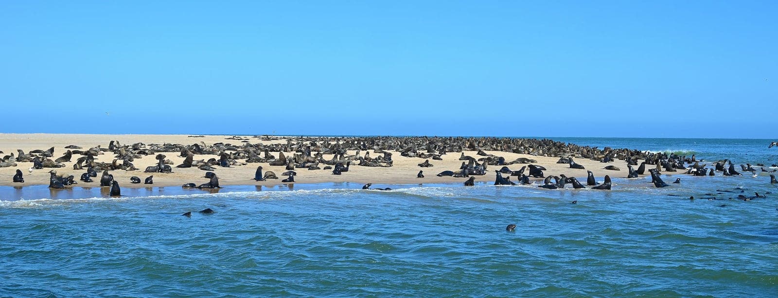 Cruises to Walvis Bay, Namibia | NCL - Norwegian Cruise Line
