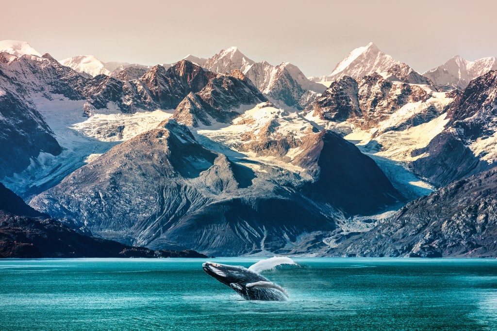 Alaska Cruisetours | NCL - Norwegian Cruise Line