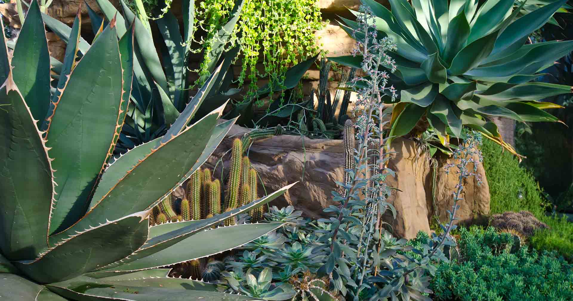 Acapulco, Mexico Botanical Gardens & Tropical Aviary Excursion ...