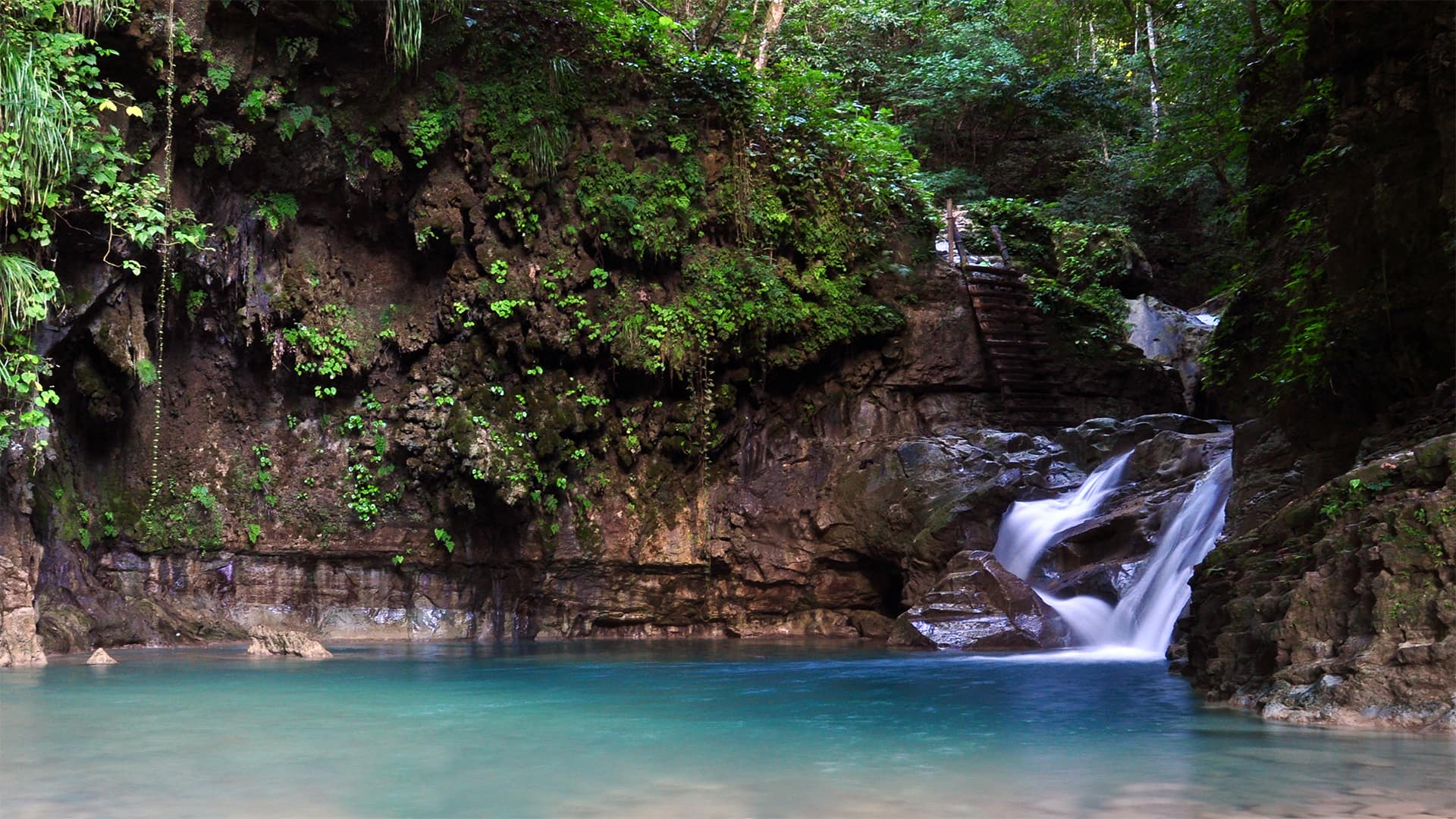 Puerto Plata, Dominican Republic Damajaguas Nature Walk, Butterflies ...