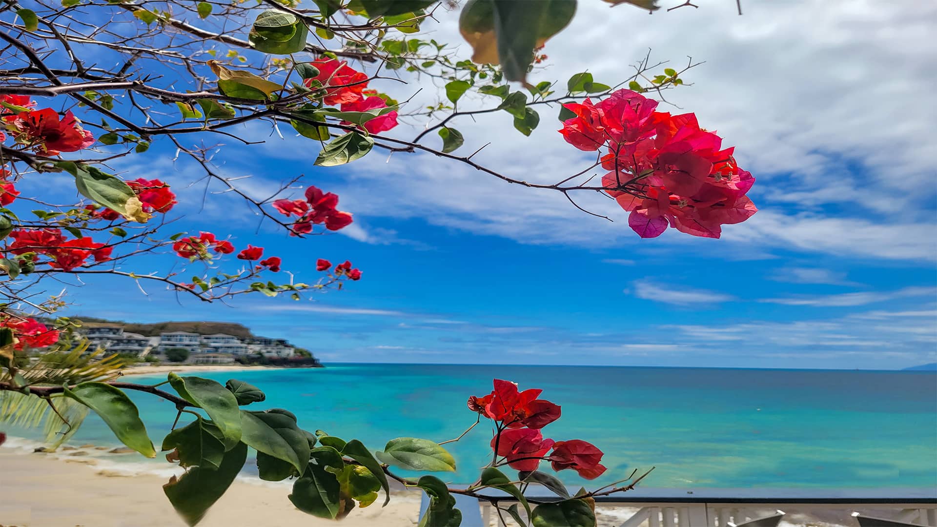 St. John's, Antigua Kai Floating Bar With DJ Excursion | Norwegian ...