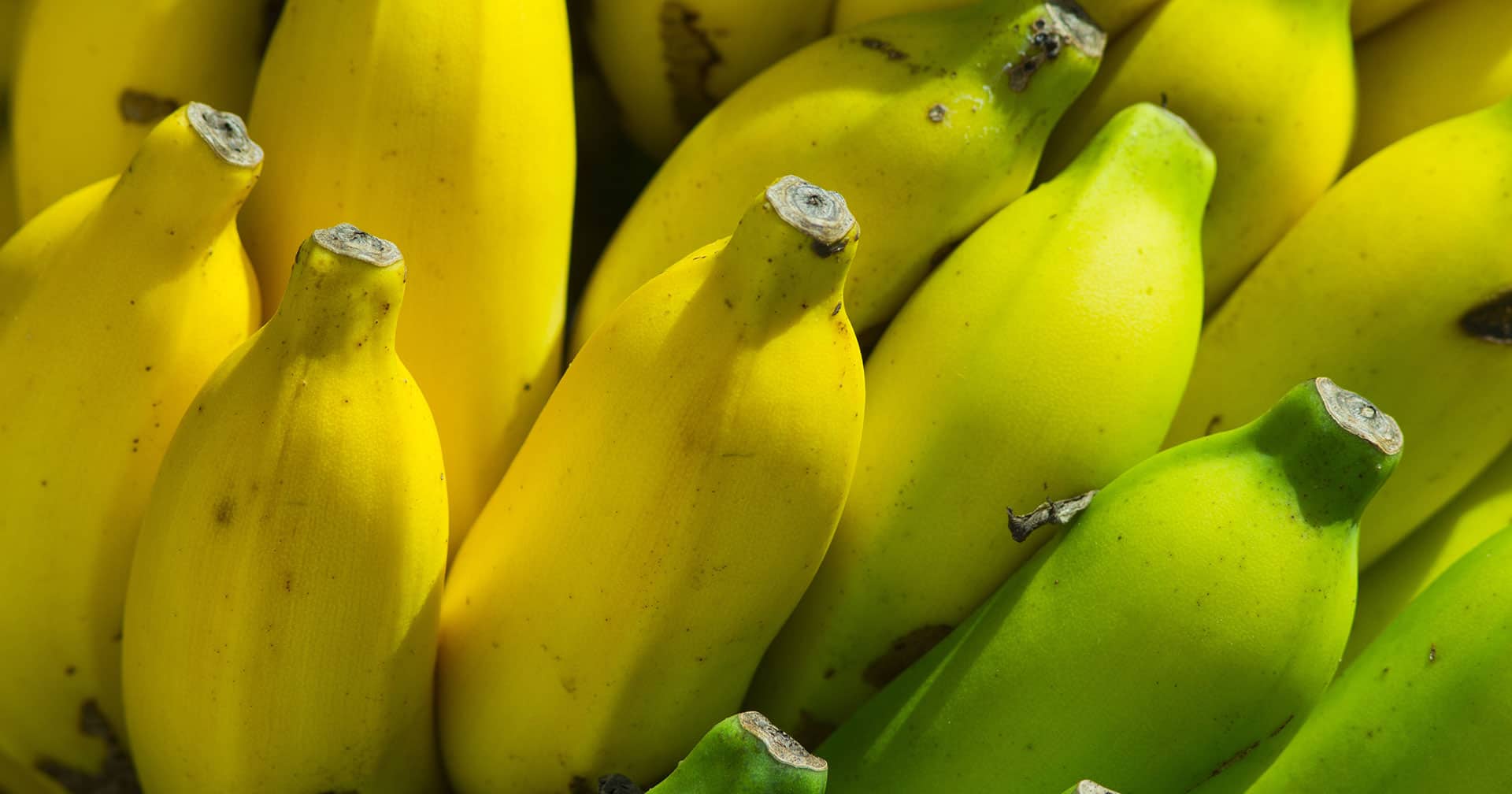 Apia, Samoa Islands Famous Homesteads & Market Excursion | Norwegian ...