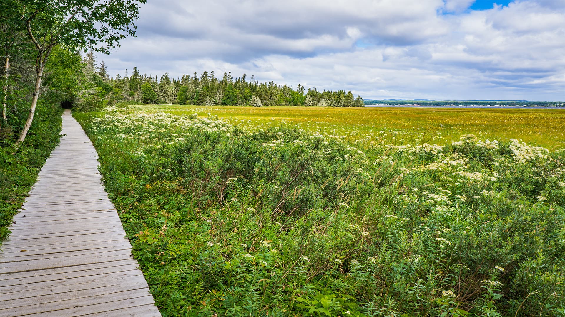 Baie Comeau, Canada Parc Nature Pointe-Aux Outardes Excursion ...