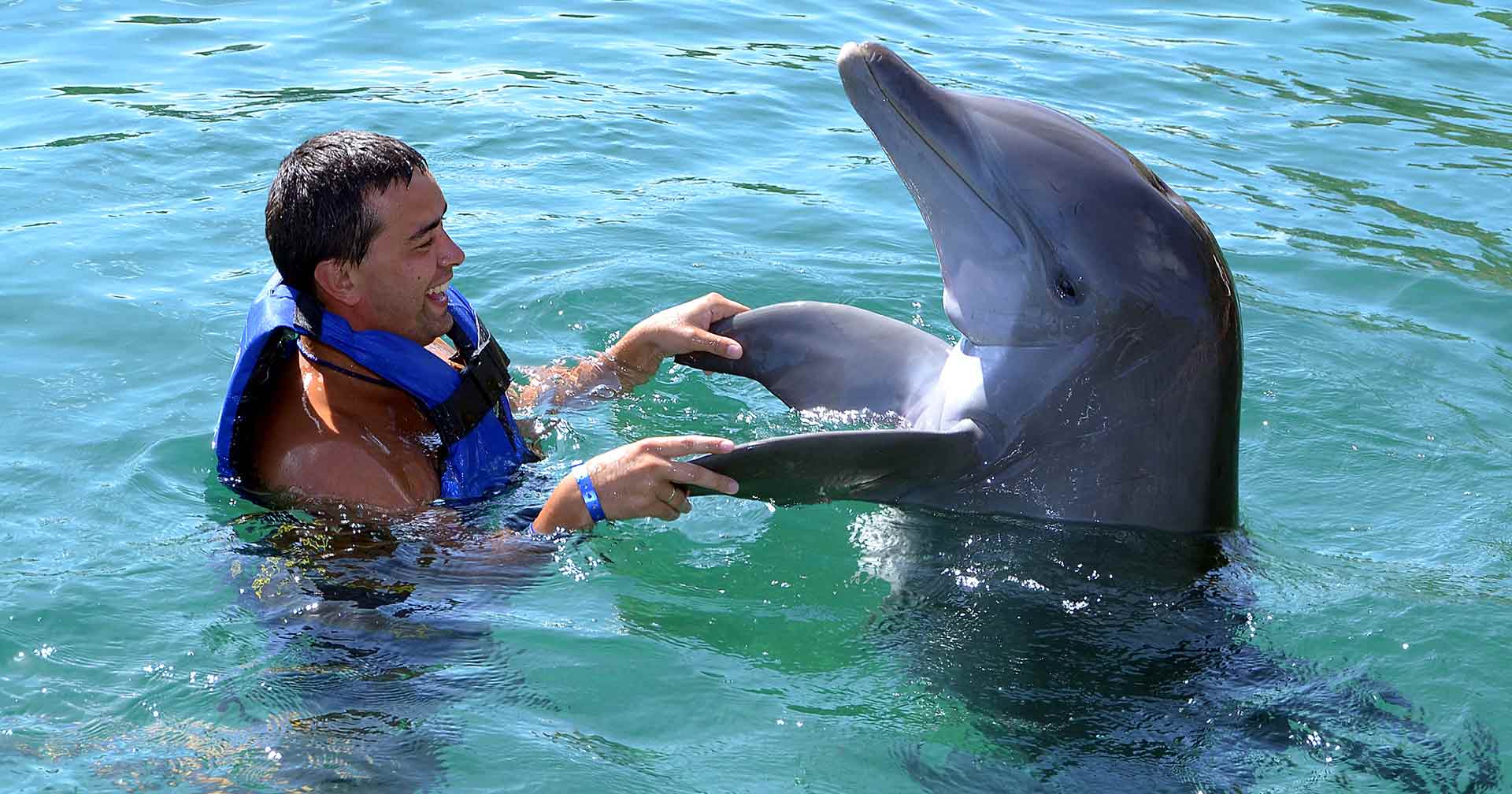 Basseterre, St. Kitts Dolphin Push, Pull & Swim Excursion | Norwegian ...