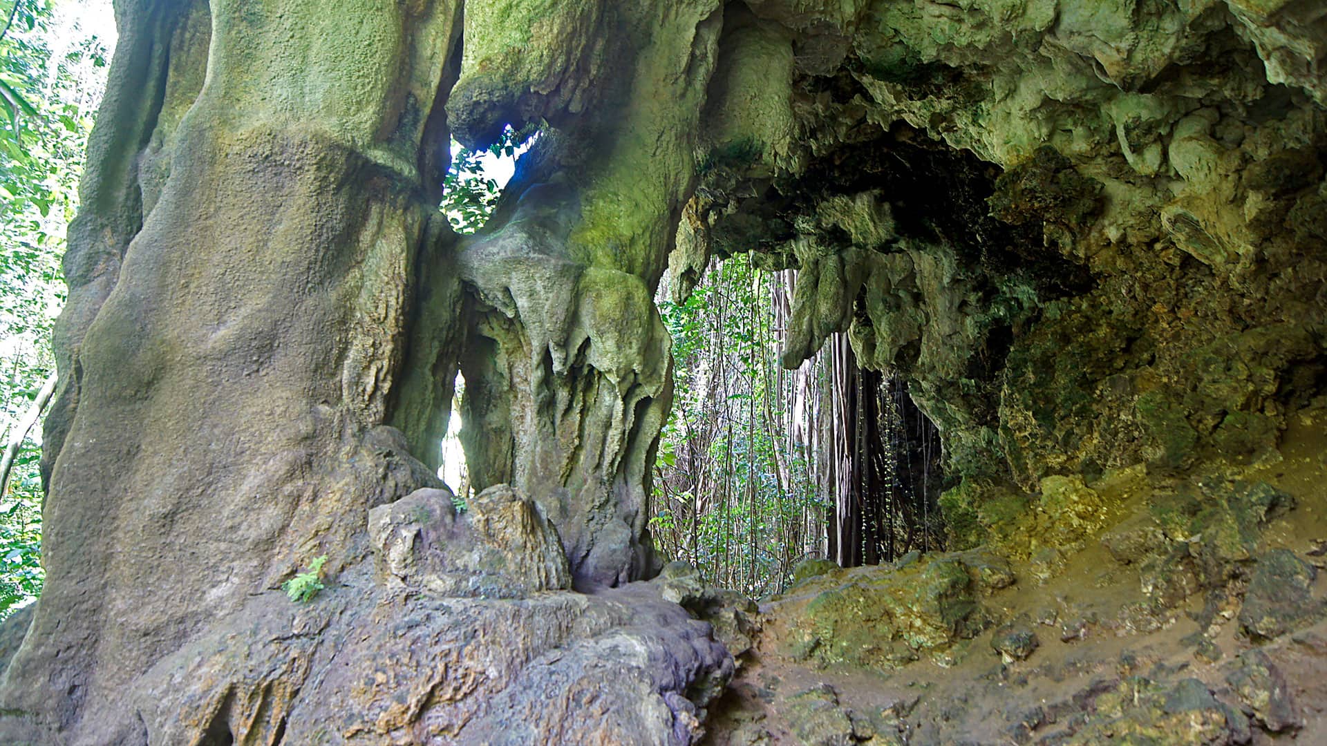 Bridgetown, Barbados Welchman Hall Gully & Beach Break Excursion ...