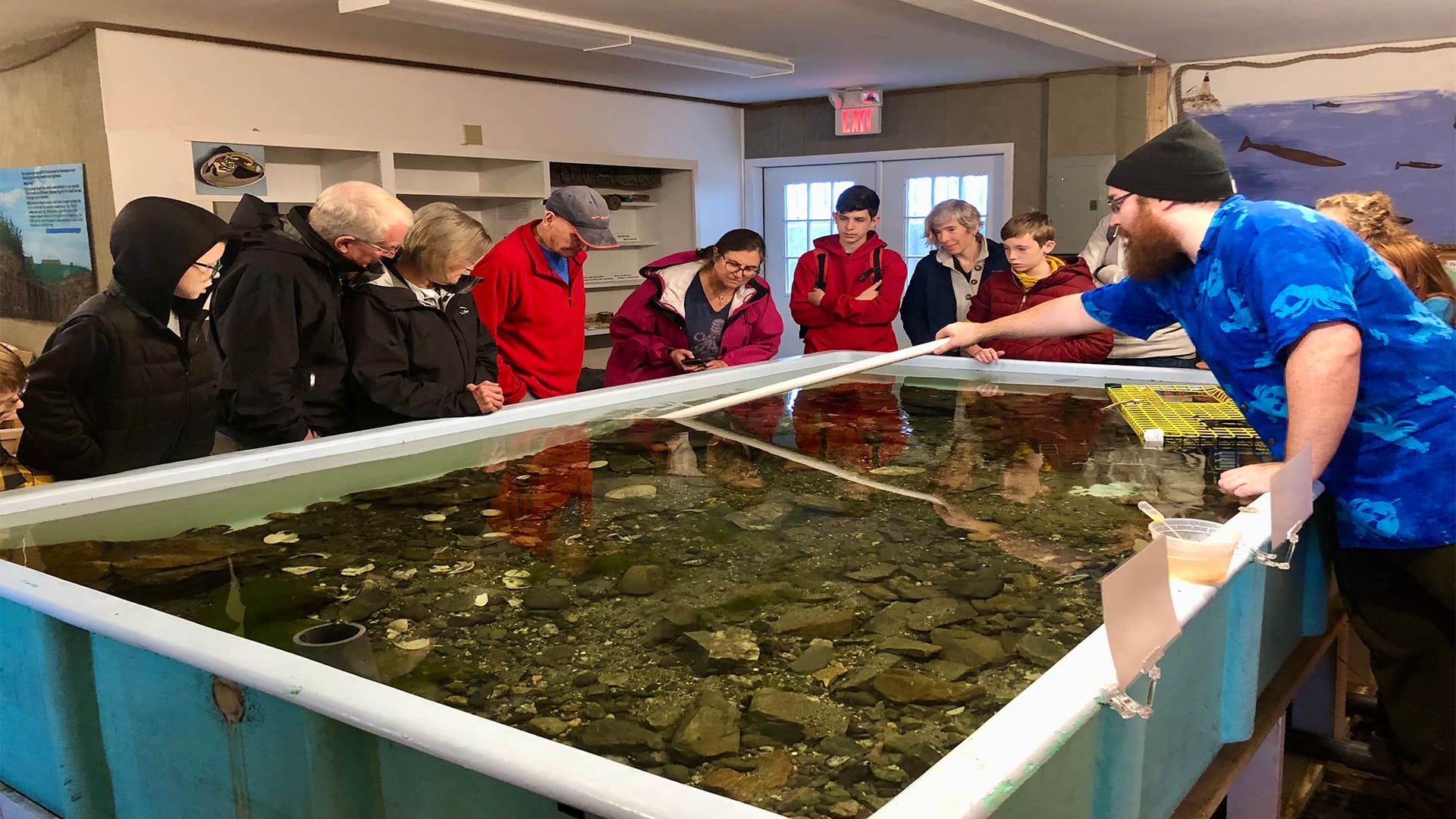 Bar Harbor, Maine Acadia National Park Loop Road & Oceanarium Excursion ...