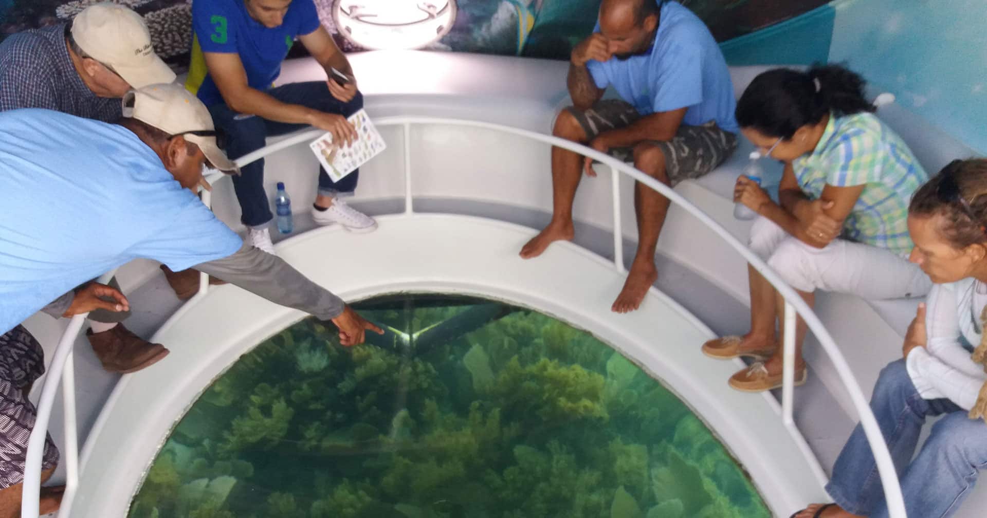 Harvest Caye, Belize Glass Bottom Reef Explorer Excursion | Norwegian ...