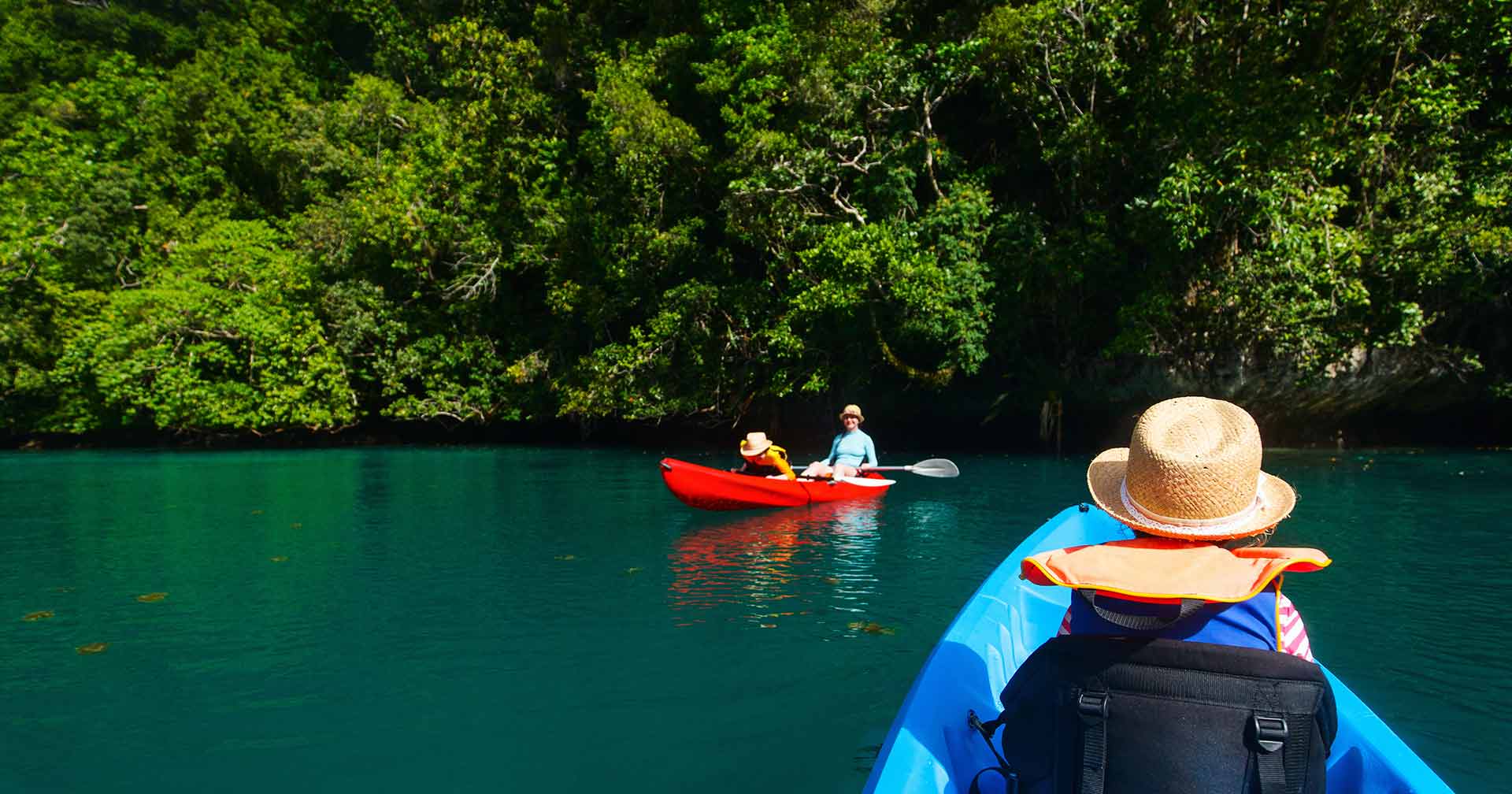 Bay of Islands, New Zealand Kayaking On Waitangi Estuary Excursion ...