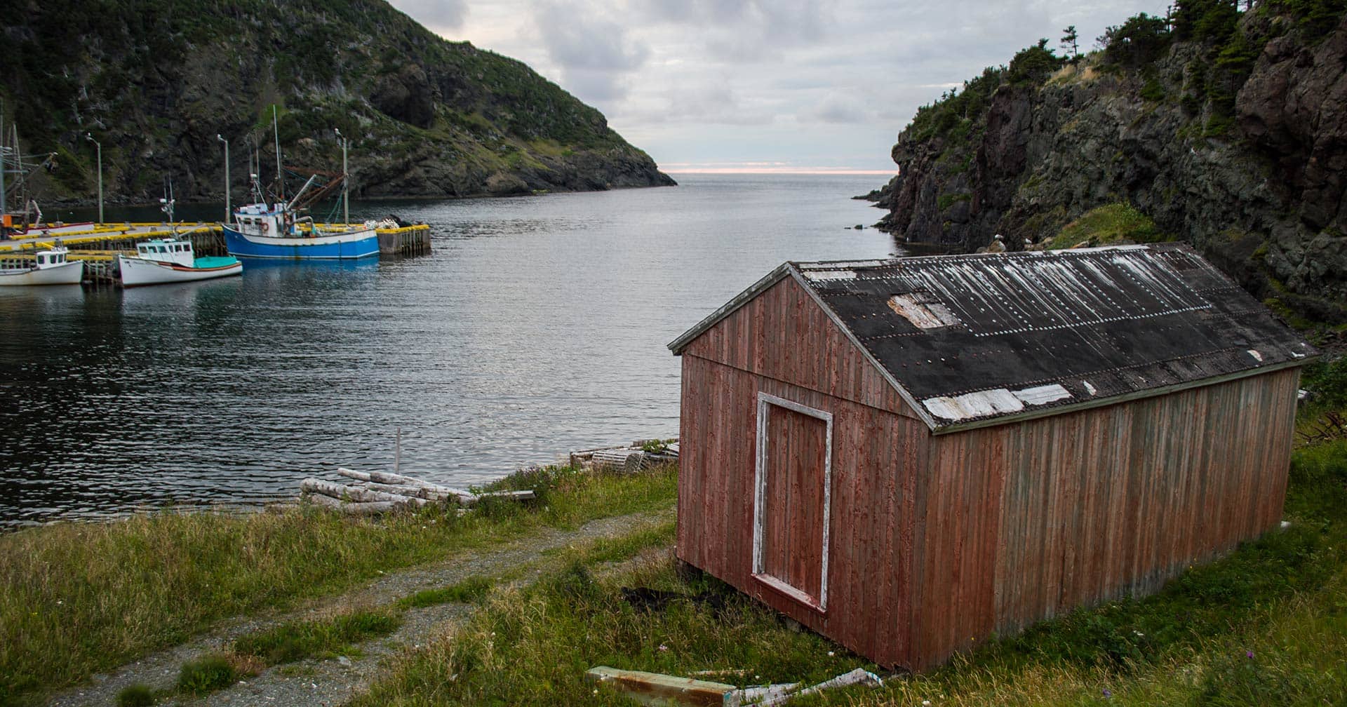 Corner Brook, Newfoundland Captain Cook's Trail Excursion | ノルウェージャンクルーズライン