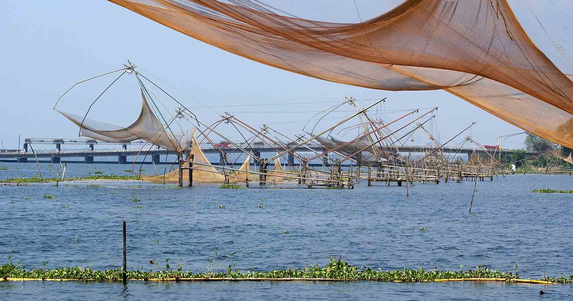 Cochin, India Highlights of Cochin Excursion | Norwegian Cruise Line