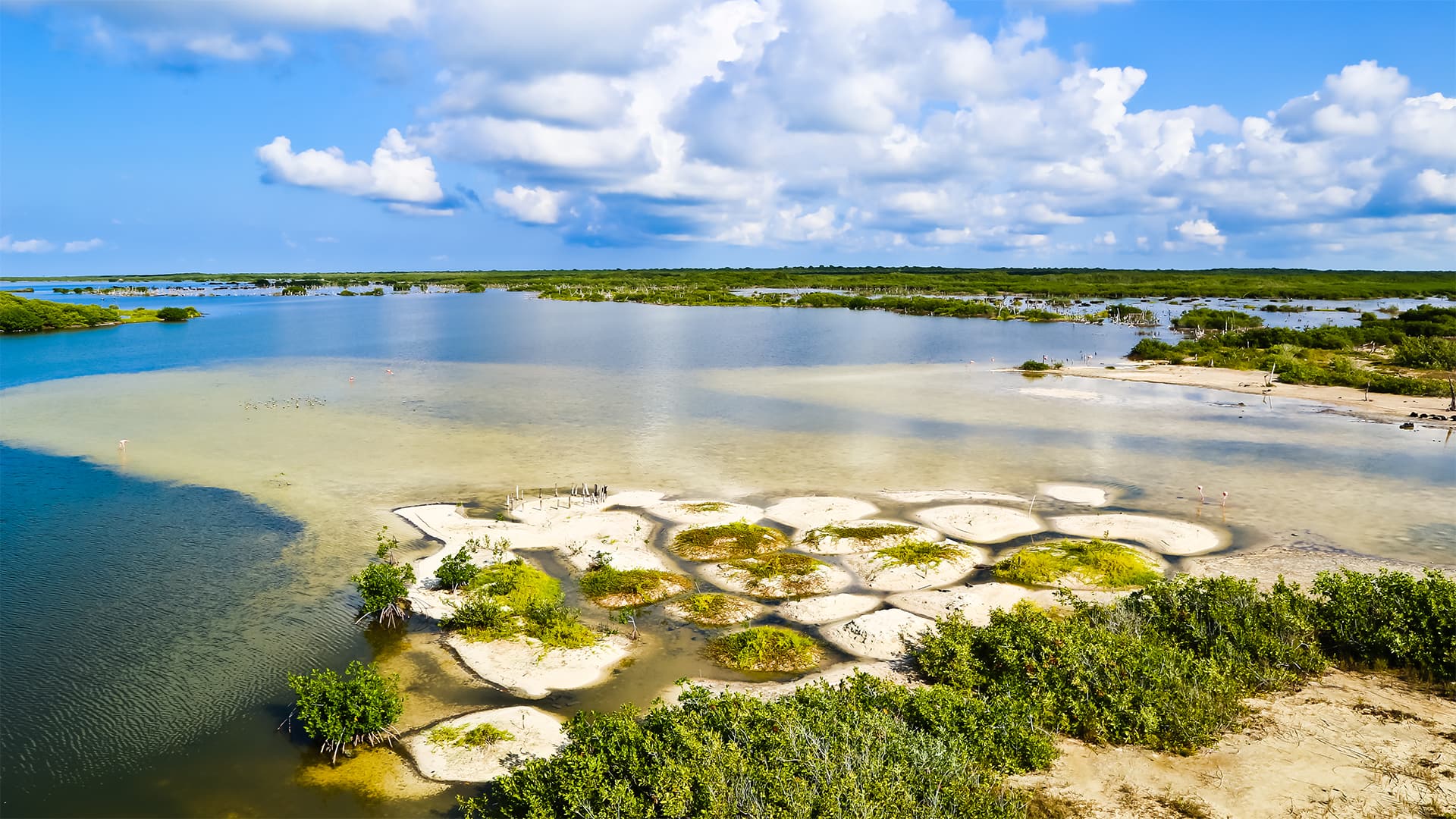 Cozumel, Mexico Punta Sur Eco Park And Beach Excursion | Norwegian ...