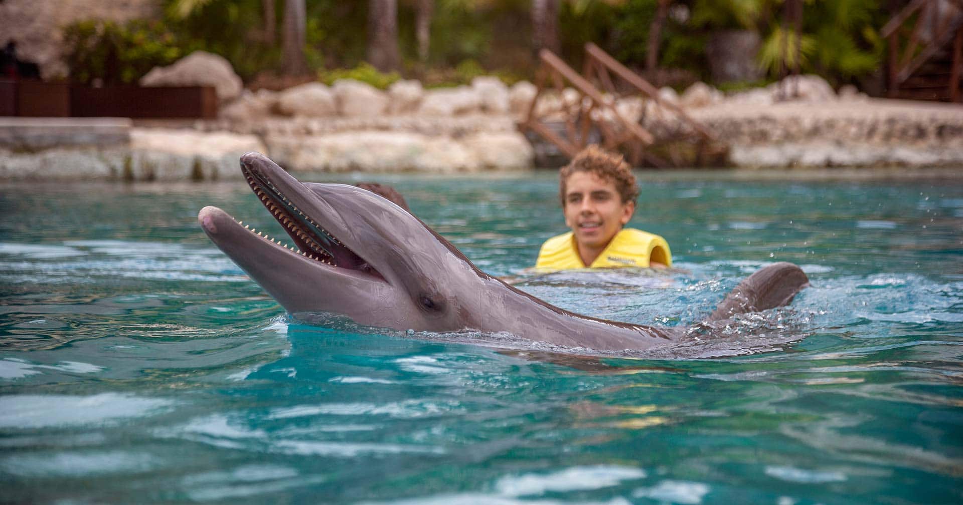 Cozumel, Mexico Exclusive VIP Dolphin Swim Excursion | Norwegian Cruise ...