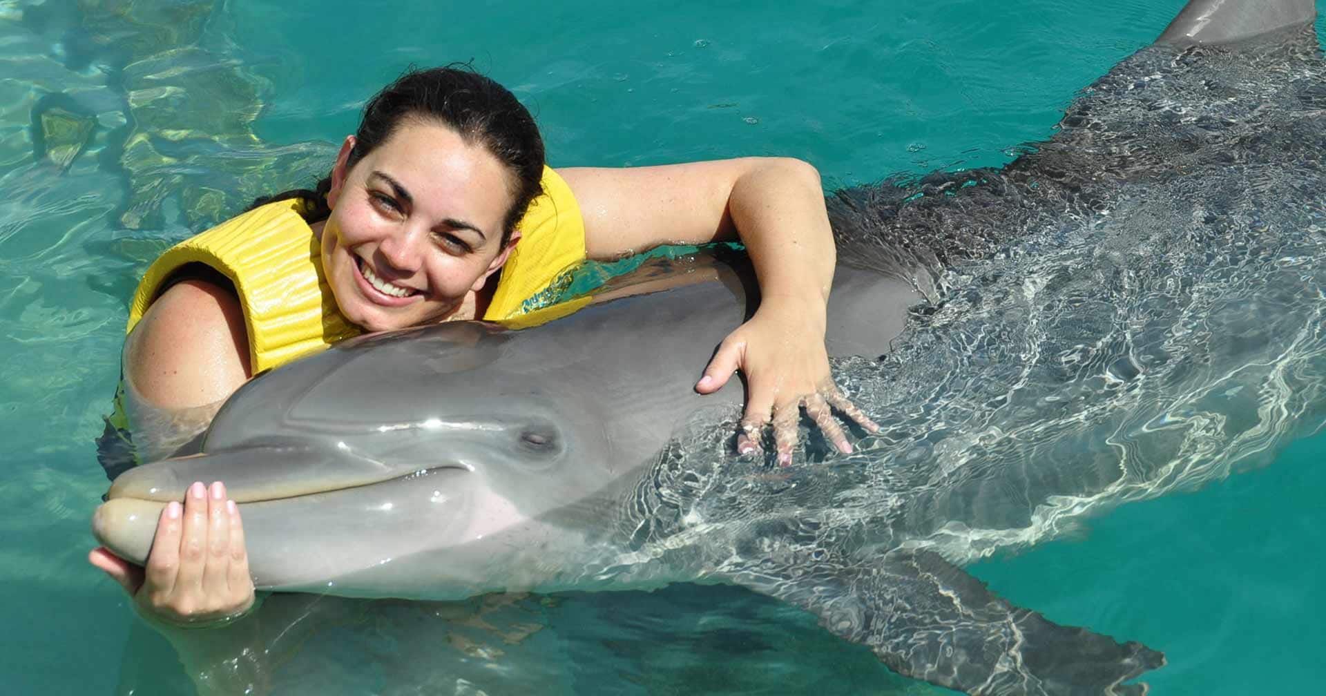 Cozumel, Mexico Dolphin Swim Excursion | Norwegian Cruise Line