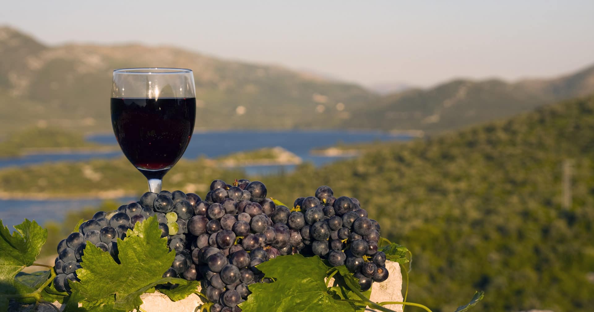 Dubrovnik, Croatia Croatian Wine & Dine Excursion | Norwegian Cruise Line