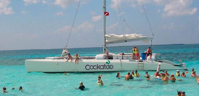 George Town, Grand Cayman ALLURA CATAMARAN & STINGRAY ADVENTURE ...