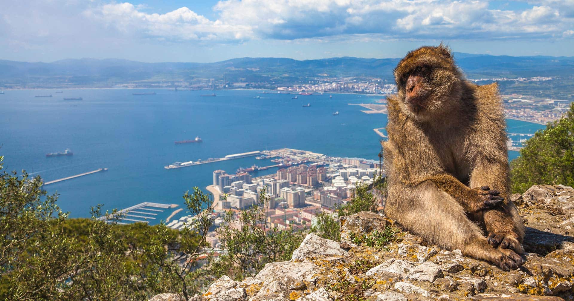 Gibraltar, United Kingdom A City Under Siege Excursion | Norwegian ...
