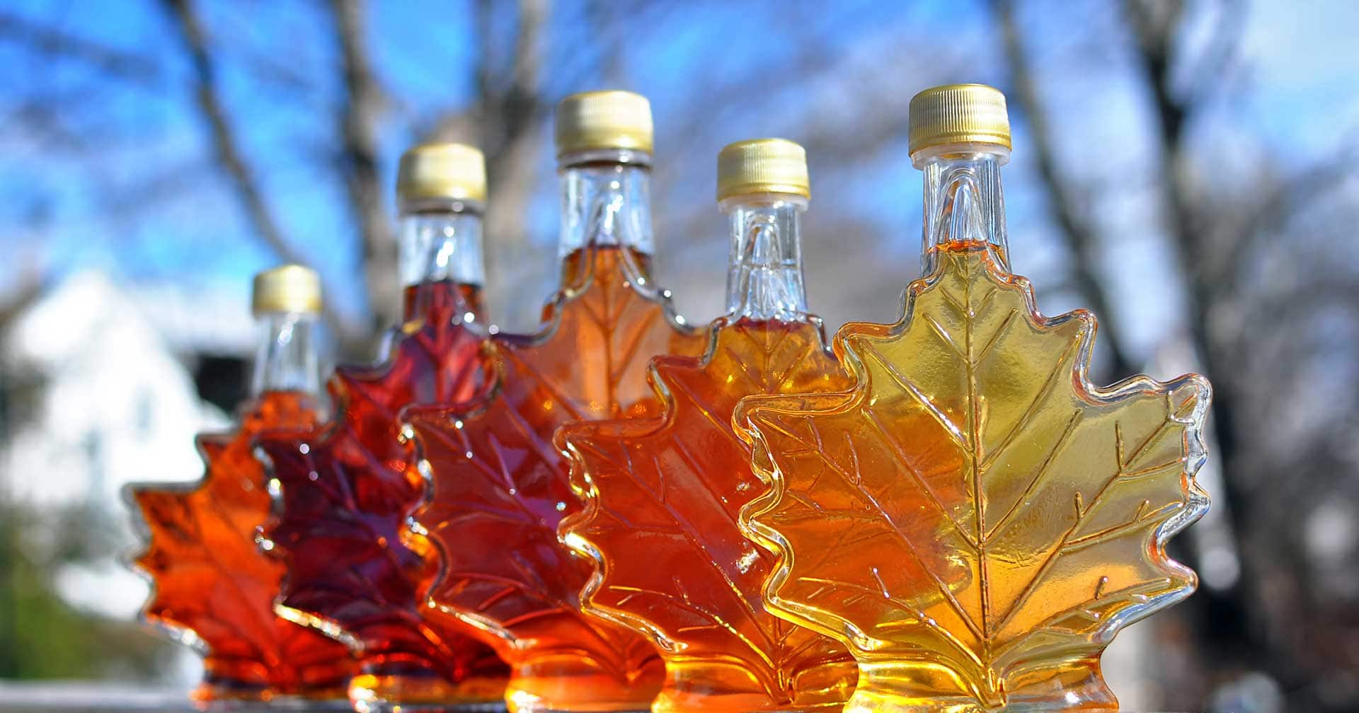 Halifax, Nova Scotia Peggy’s Cove & Acadian Maple Excursion | Norwegian ...