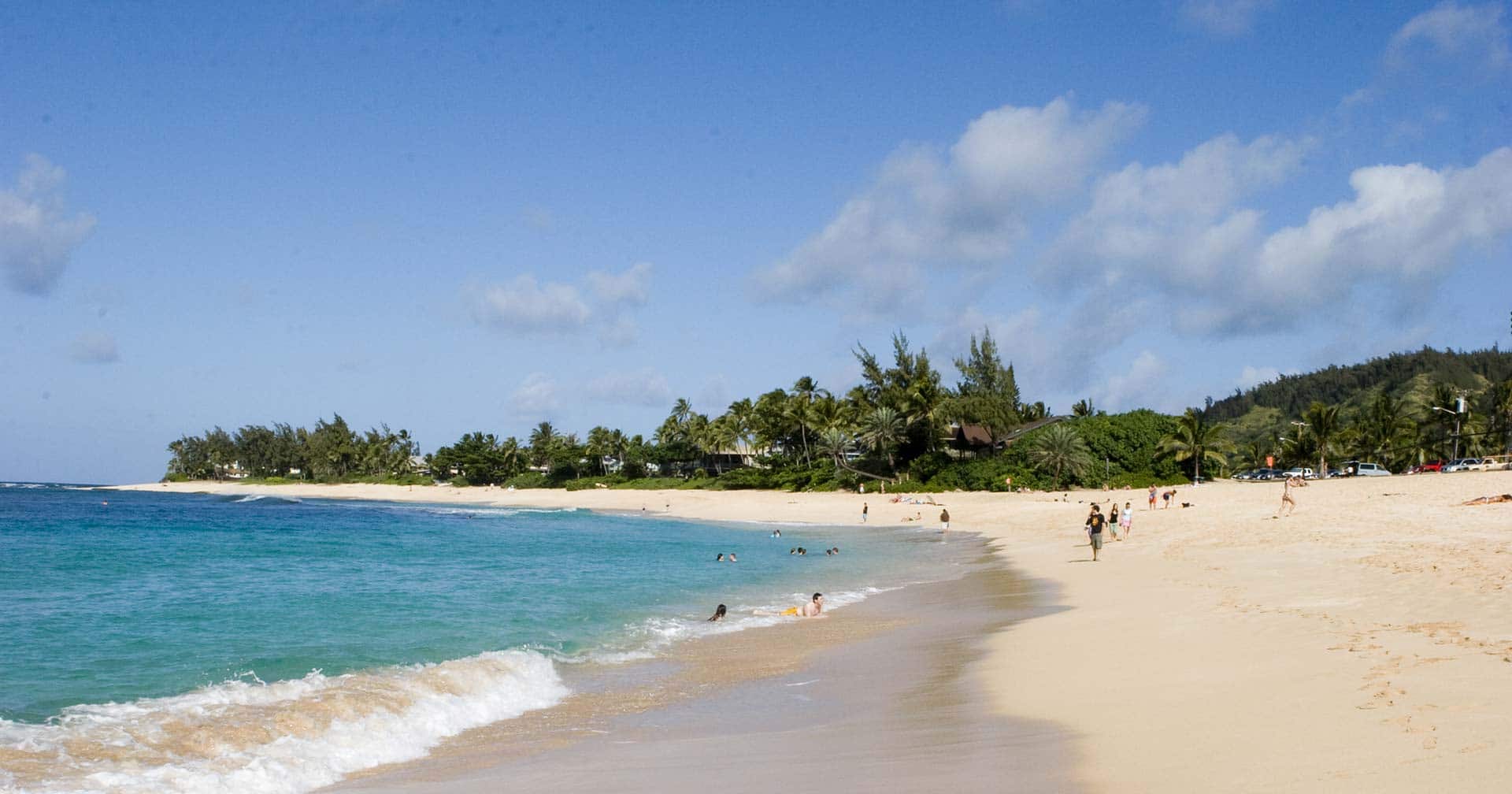 Honolulu, Oahu Explore Oahu's Famous North Shore (Airport Drop Off ...