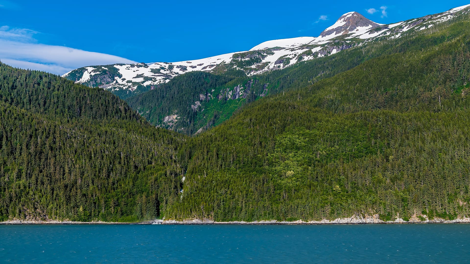 Haines, Alaska Haines Bike, Hike & Brew Excursion | Norwegian Cruise Line