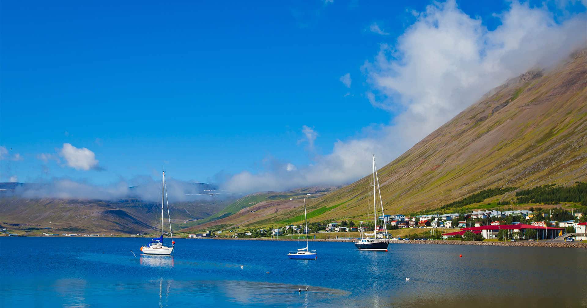 Isafjordur, Iceland Secluded Valley & Tasting Excursion | Norwegian ...