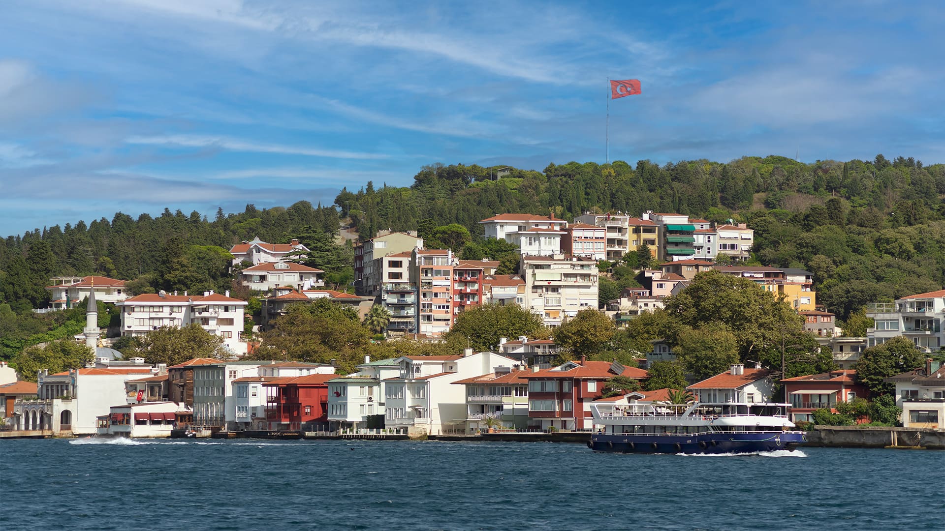 Istanbul, Turkey Panoramic Bosphorus Cruise Excursion | Norwegian ...