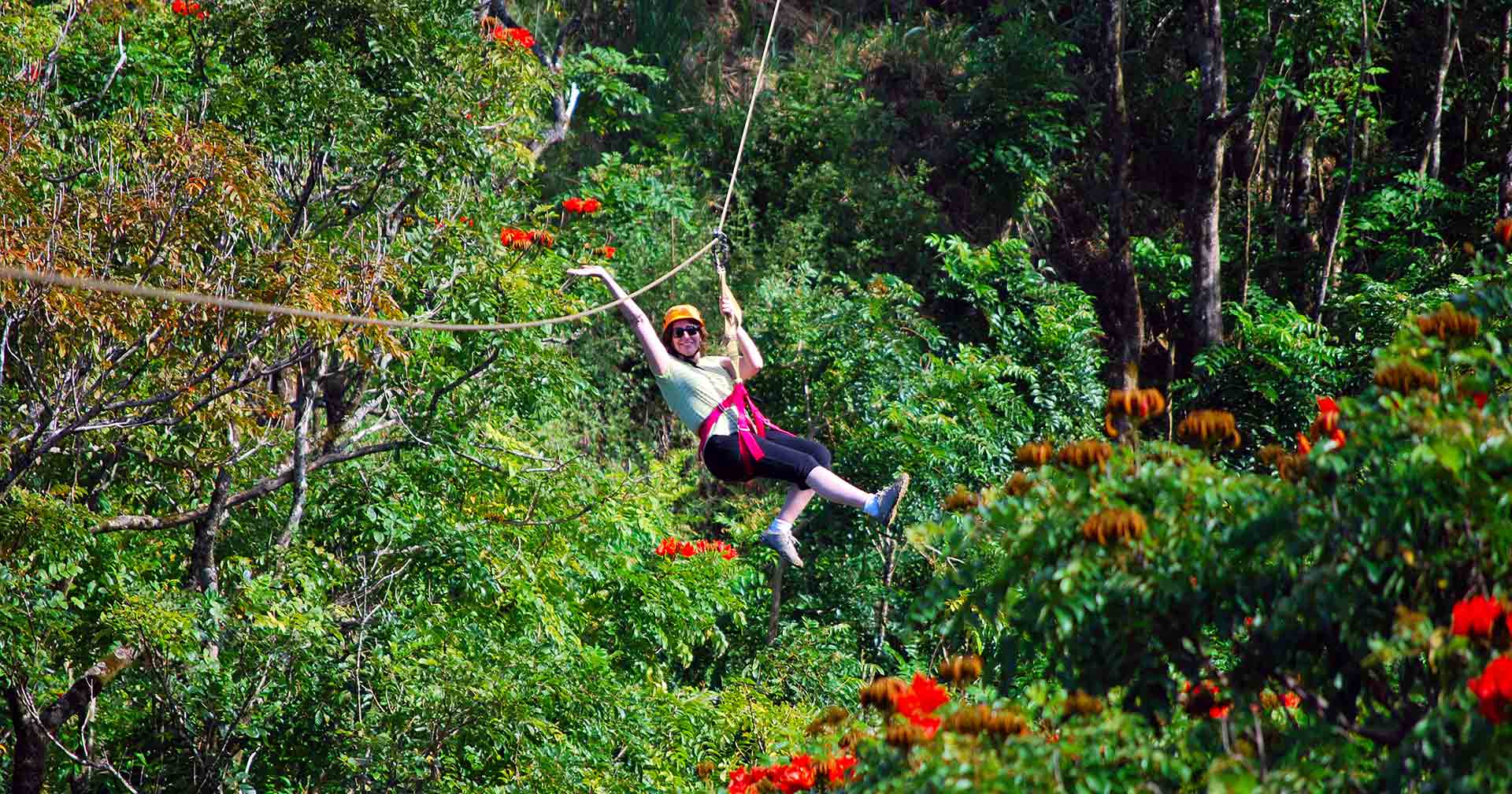 Hilo, Hawaii Rainforest Zipline & Waterfall Adventure Excursion ...
