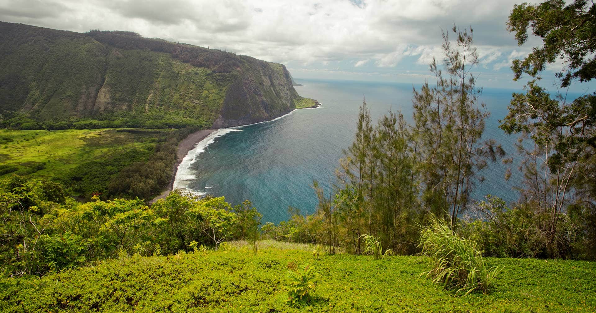 Hilo, Hawaii Jungle Falls Bike Adventure Excursion | Norwegian Cruise ...