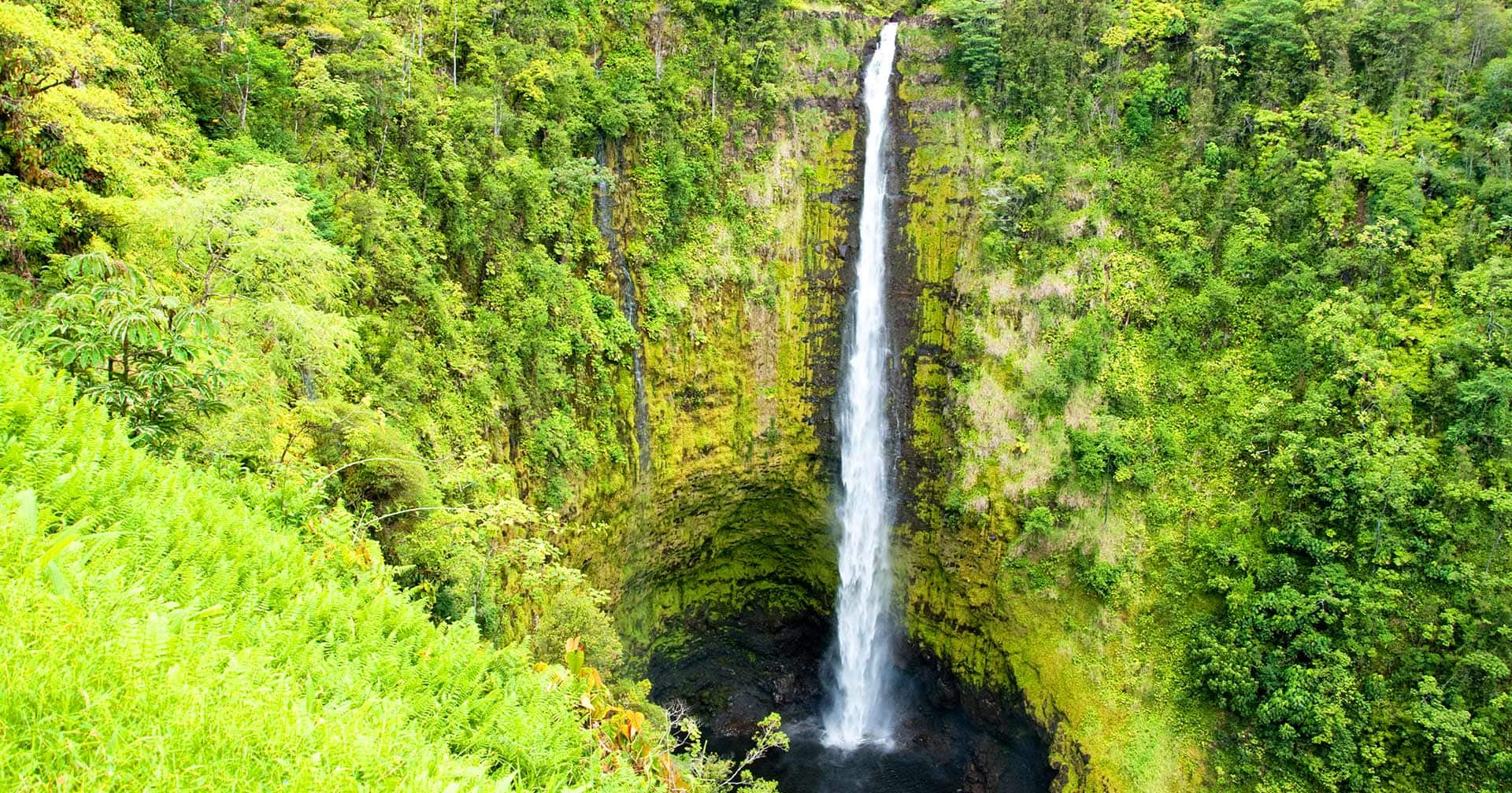 Hilo, Hawaii Waterfalls Spectacular Excursion | Norwegian Cruise Line