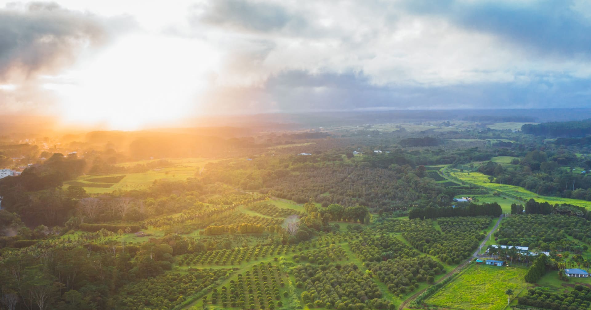 Hilo, Hawaii Exclusive Farm to Glass Experience Excursion | Norwegian ...