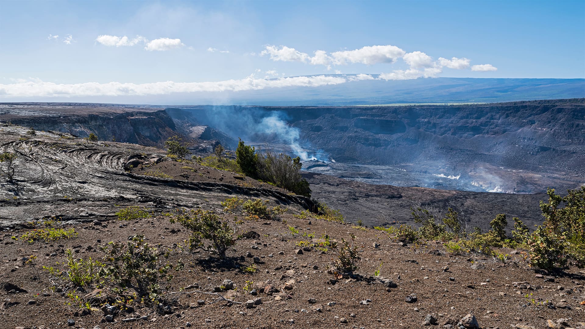 Hilo, Hawaii Volcano Express & Gardens Excursion | Norwegian Cruise Line