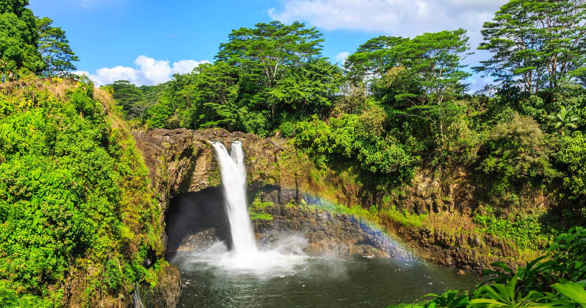 Hilo, Hawaii Crater Hike & Hilo Waterfalls Excursion | Norwegian Cruise ...
