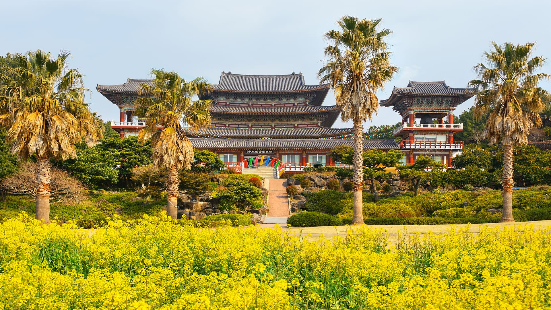 Jeju, South Korea Hallim Park & O'Sulloc Tea Museum Excursion ...