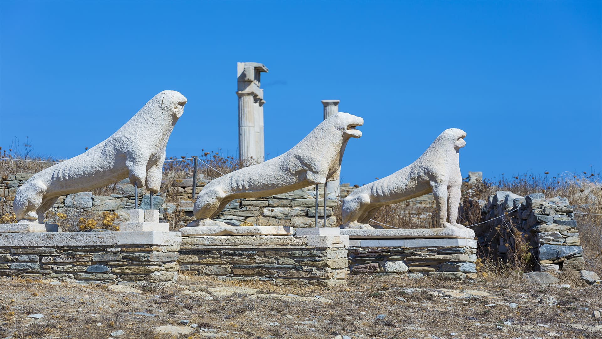 Mykonos, Greece Delos: Birthplace of Artemis & Apollo Excursion ...
