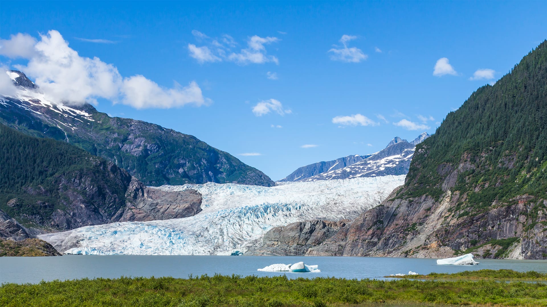 Juneau, Alaska Mendenhall Glacier, Hatchery & Gardens Excursion ...