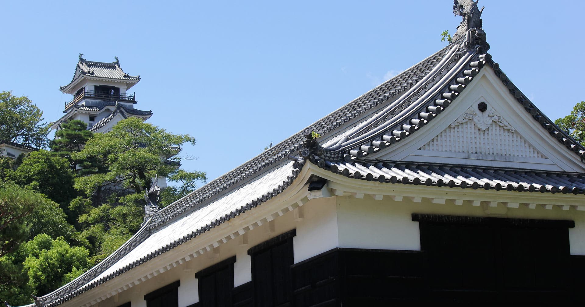 Kochi, Japan Ryugado Caves & Kochi Castle Excursion | Norwegian Cruise Line