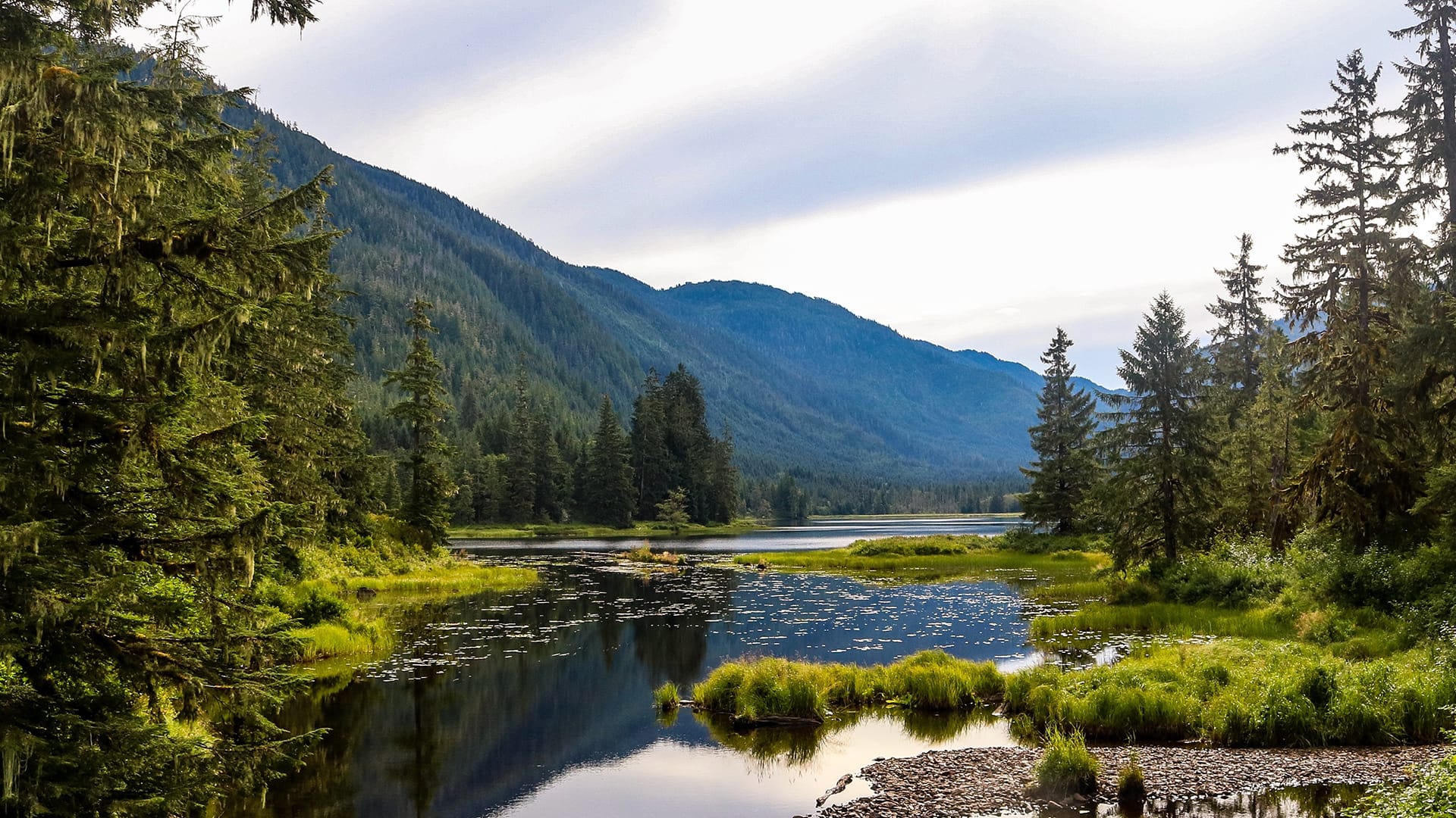 Ketchikan (Ward Cove), Alaska Tongass Rainforest Expedition Excursion ...