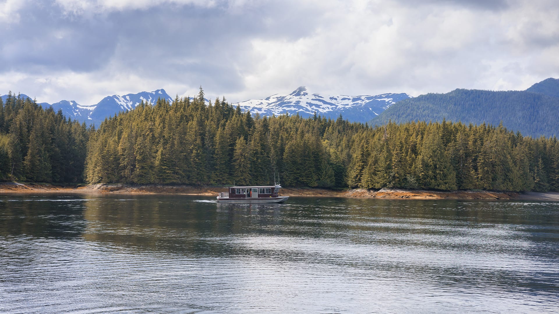 Ketchikan (Ward Cove), Alaska Wilderness Exploration & Crab Feast ...
