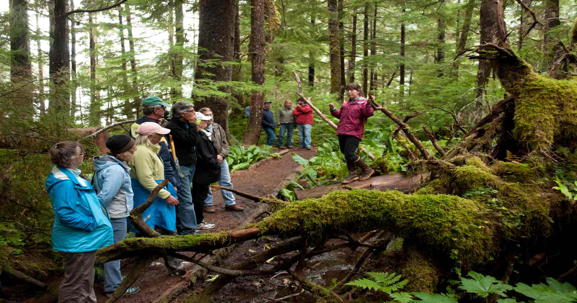 Ketchikan (Ward Cove), Alaska Canoe Adventure & Rainforest Nature Trail ...