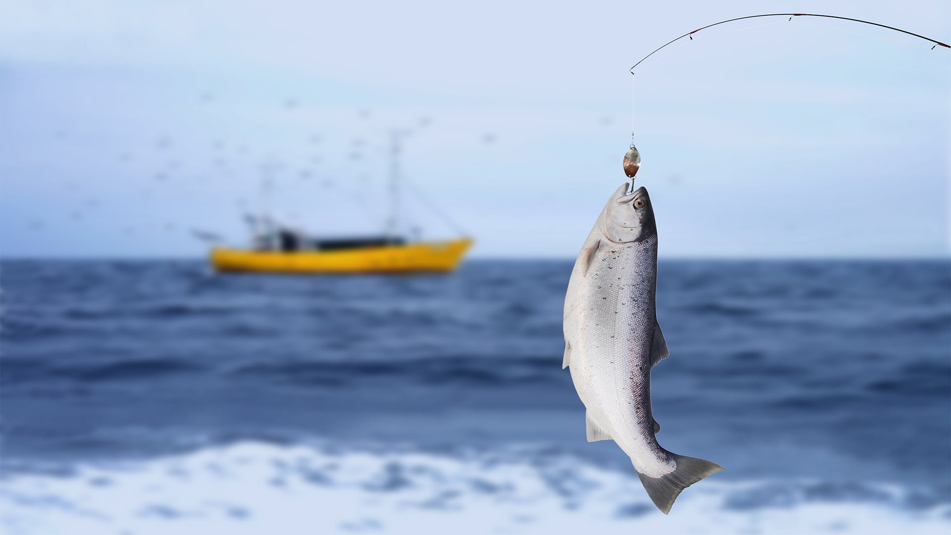 Ketchikan (Ward Cove), Alaska Local Salmon Fishing In ketchikan ...