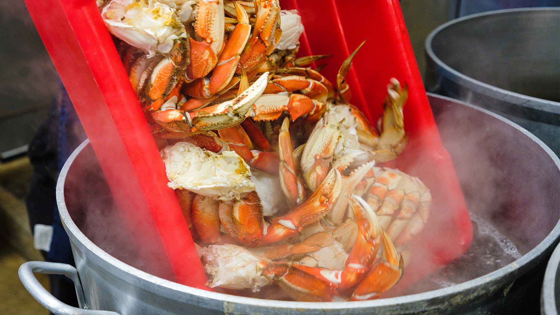 Ketchikan (Ward Cove), Alaska George Inlet Fjords Safari, Kraft Beers ...