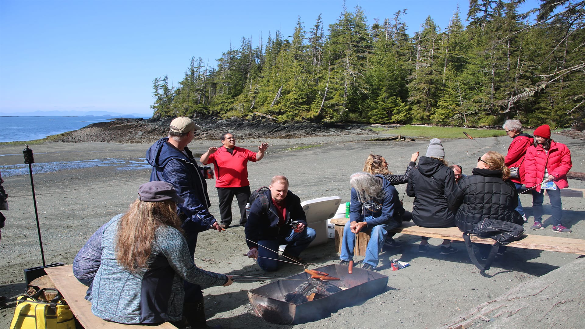 Ketchikan (Ward Cove), Alaska Wildlife Safari & Beach Bonfire - Round ...