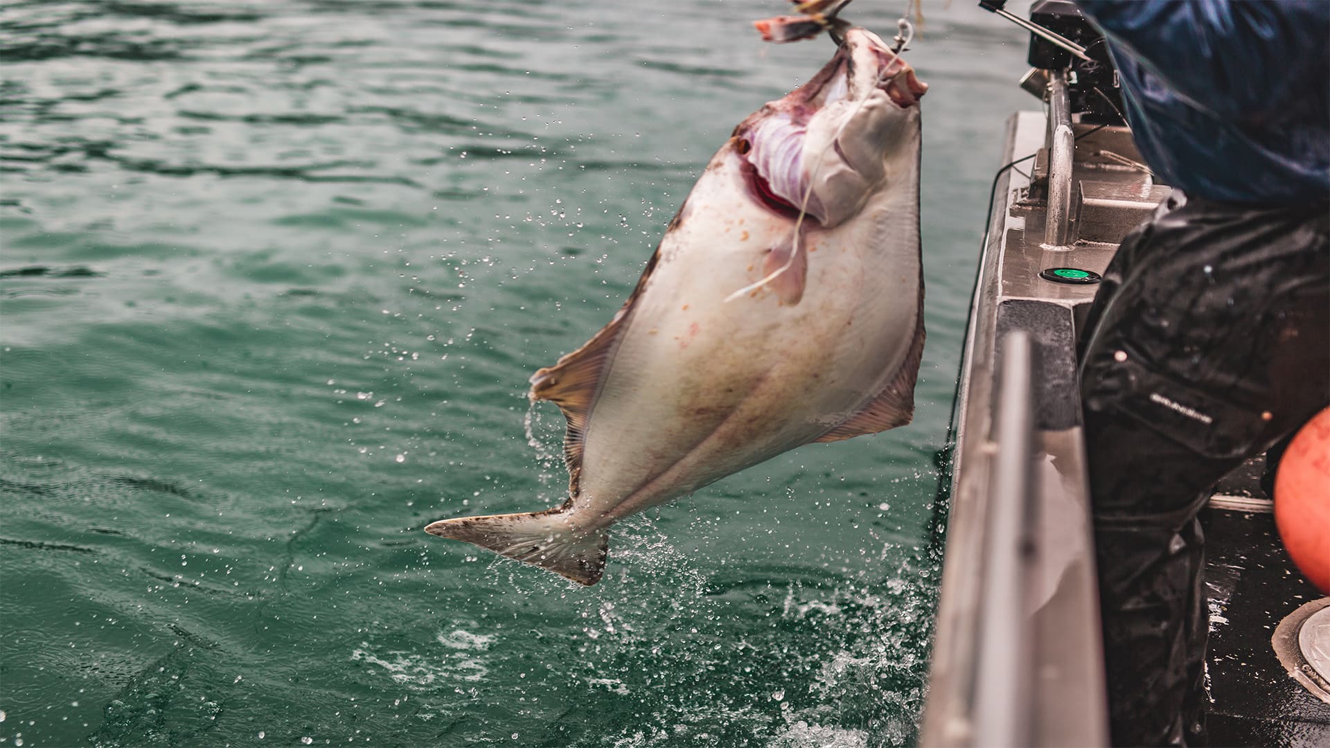 Juneau, Alaska Alaska Halibut Fishing Excursion | Norwegian Cruise Line