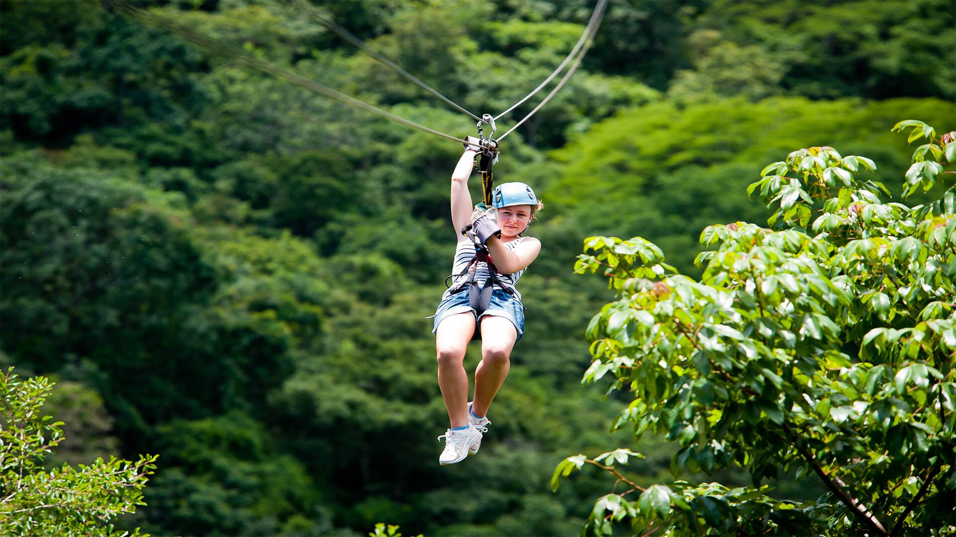 Puerto Limon, Costa Rica The Original Canopy Tour At Veragua Rainforest ...