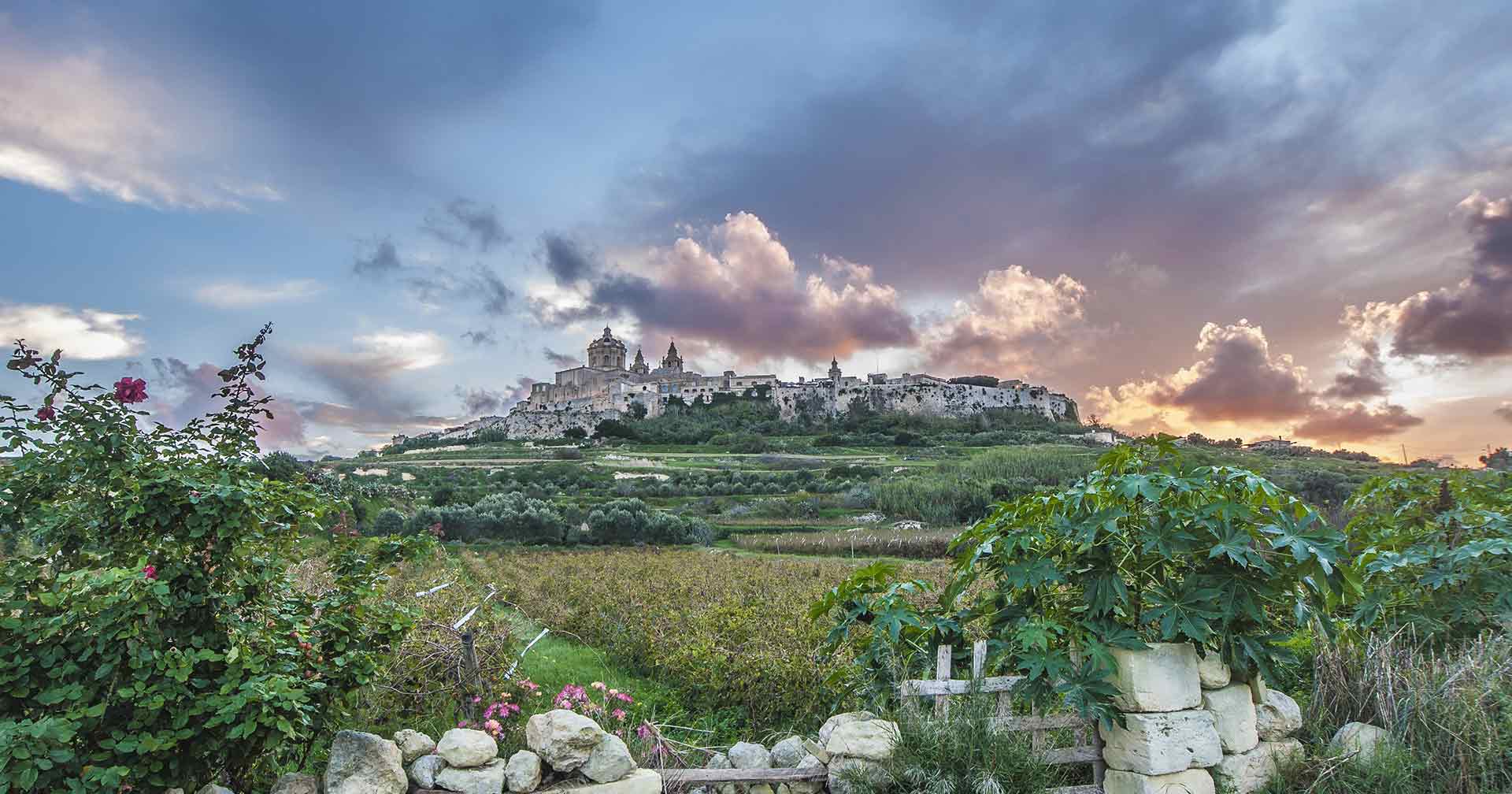 Valletta, Malta Malta's Scenic Beauty Excursion | Norwegian Cruise Line