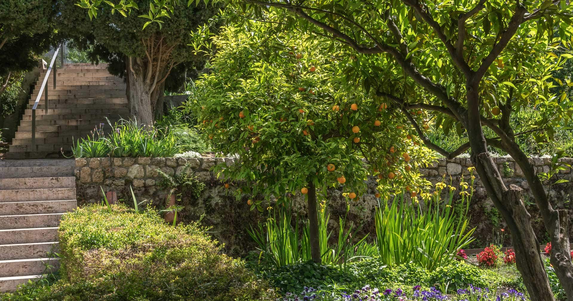 Motril, Spain Nazari Gardens & Winery Visit Excursion | Norwegian ...