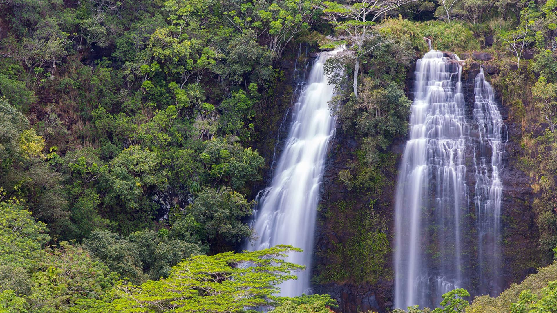 Nāwiliwili, Kaua'i Wailua River State Park, Lighthouse & Hanalei ...
