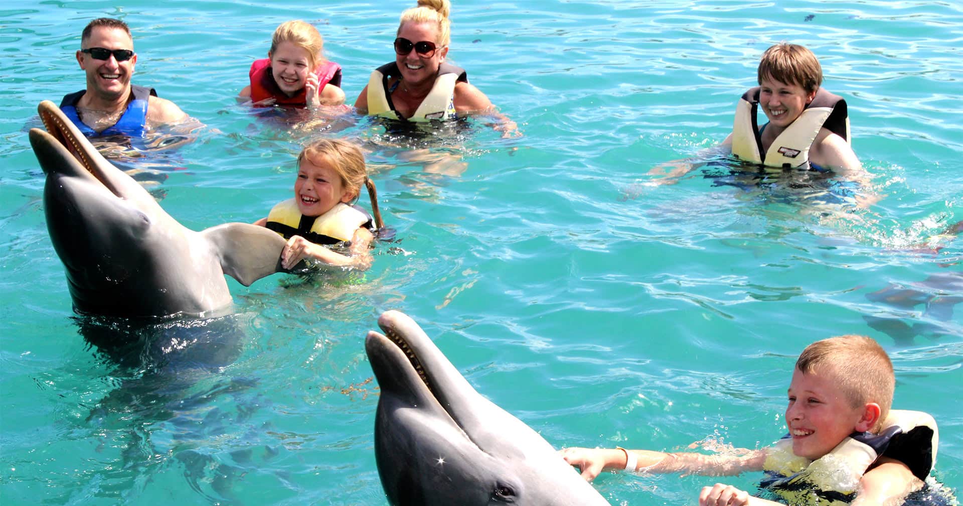 Blue Lagoon Bahamas Dolphin Swim at Willy Booth blog