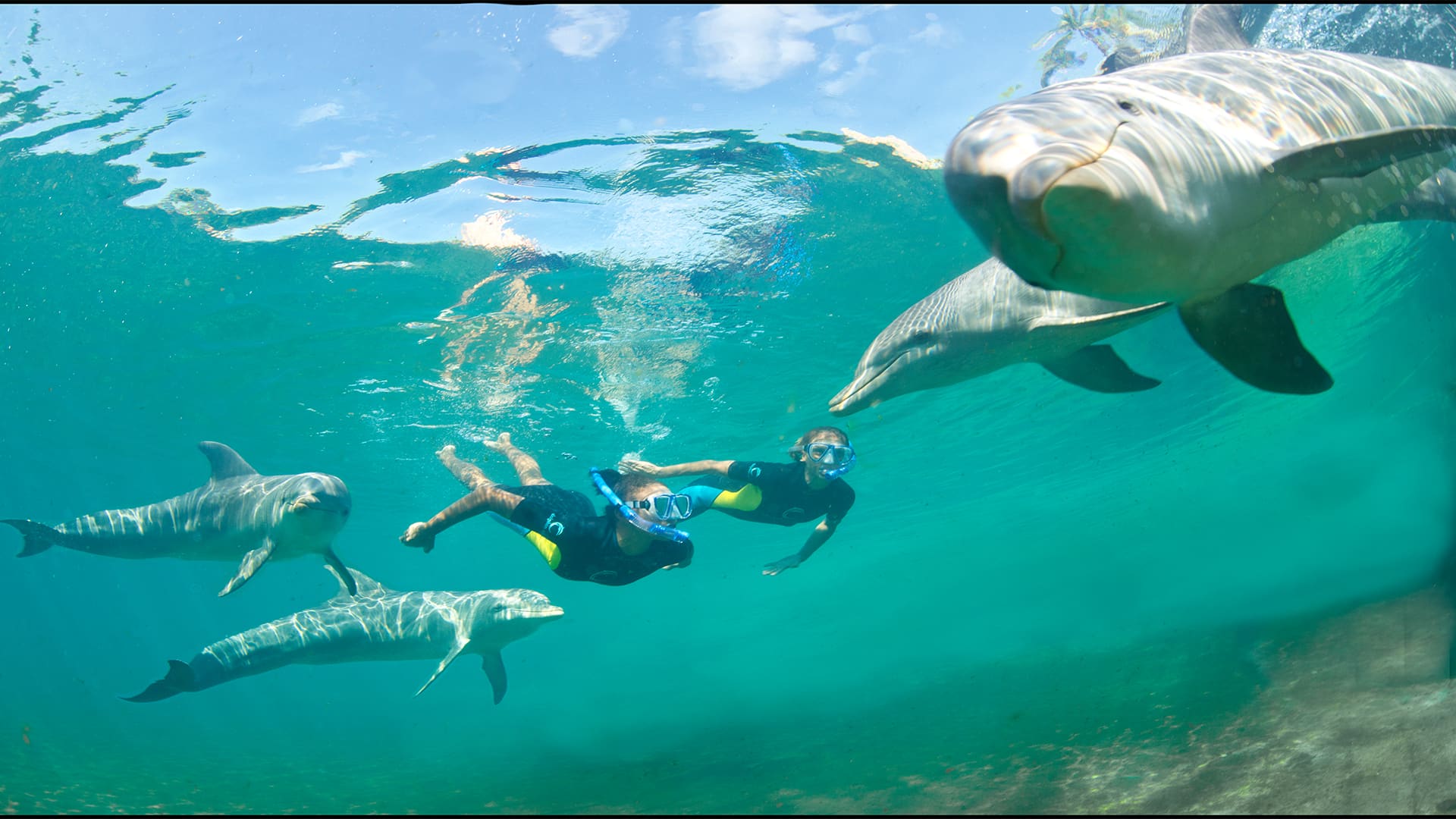 Nassau, Bahamas Atlantis Swim In Wonder Aquaventure Excursion ...
