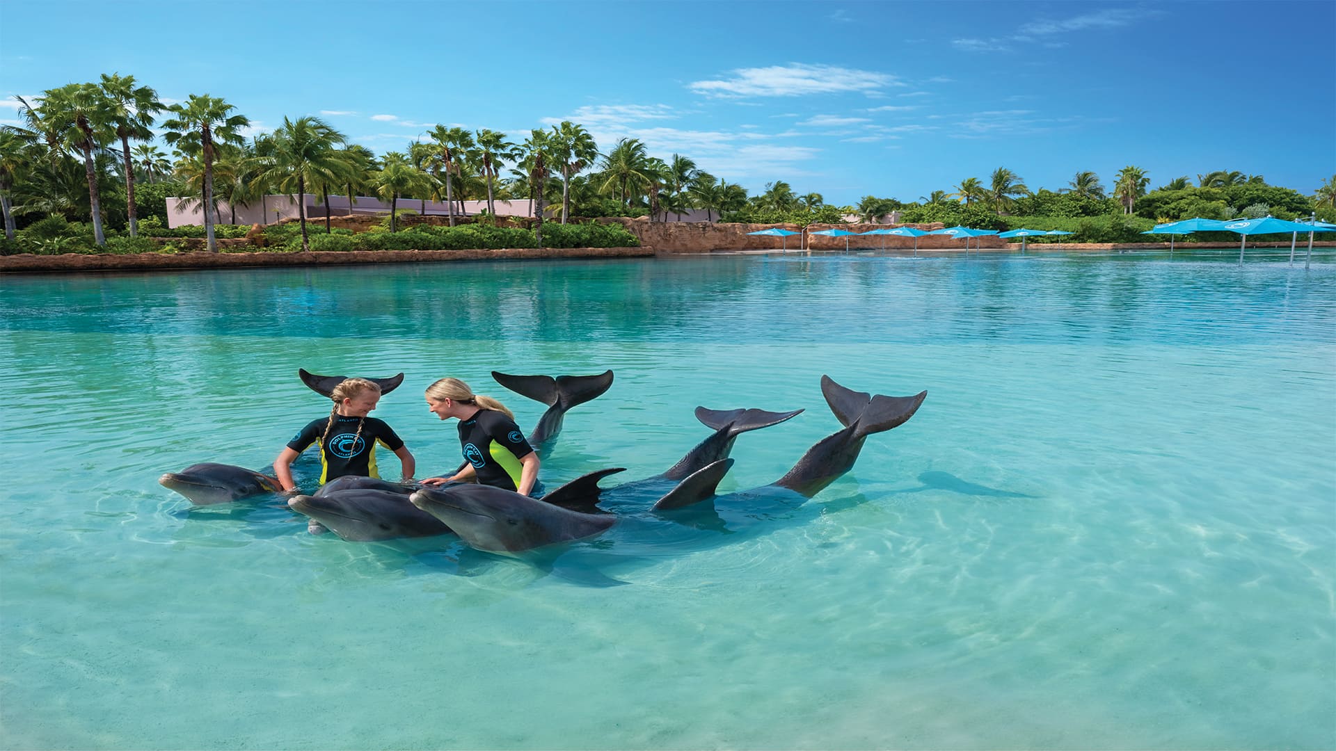 Nassau, Bahamas Atlantis Playtime With Dolphins And Aquaventure ...