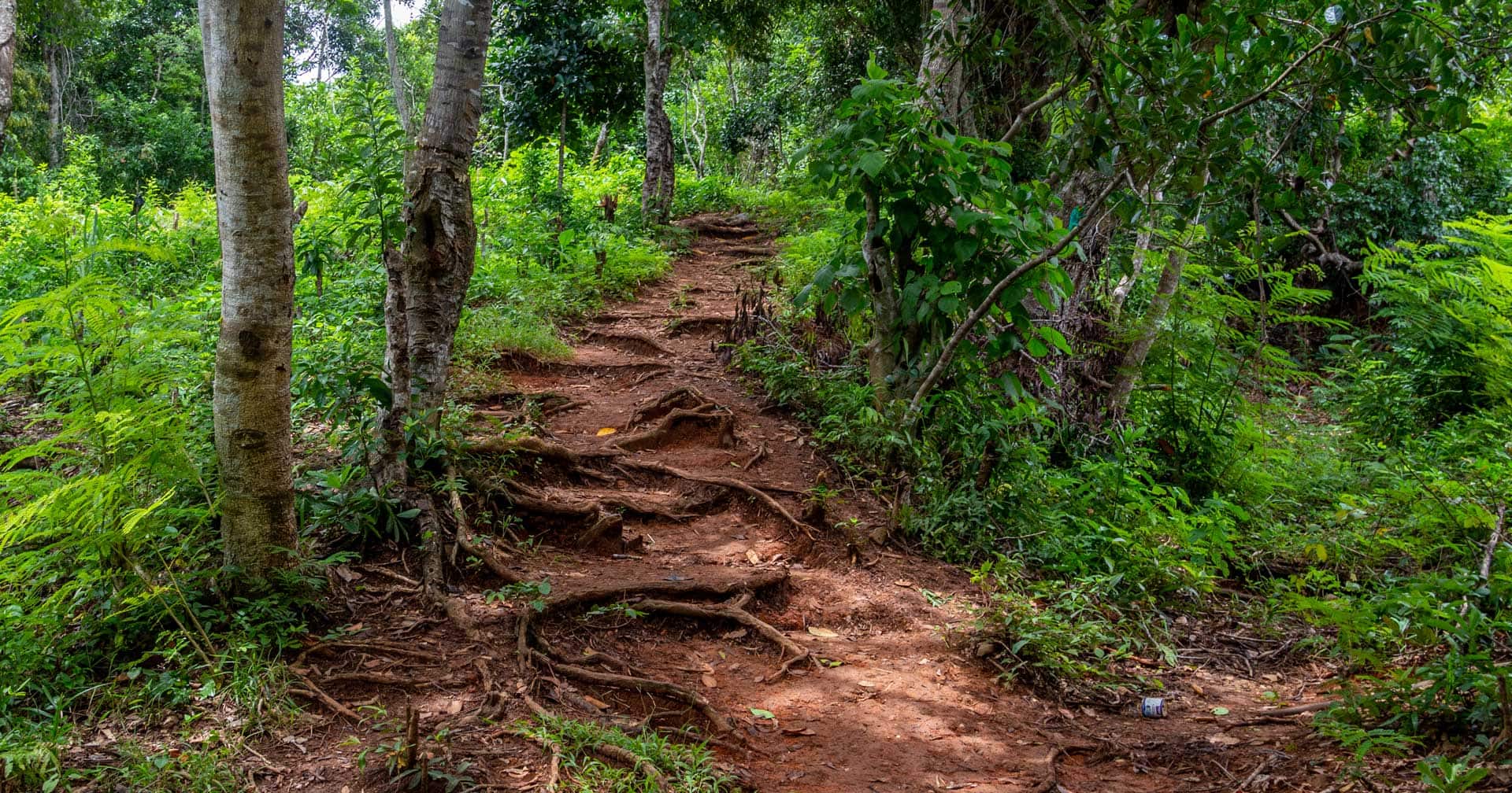 Nosy Be, Madagascar Lokobe Natural Reserve Excursion | Norwegian Cruise ...